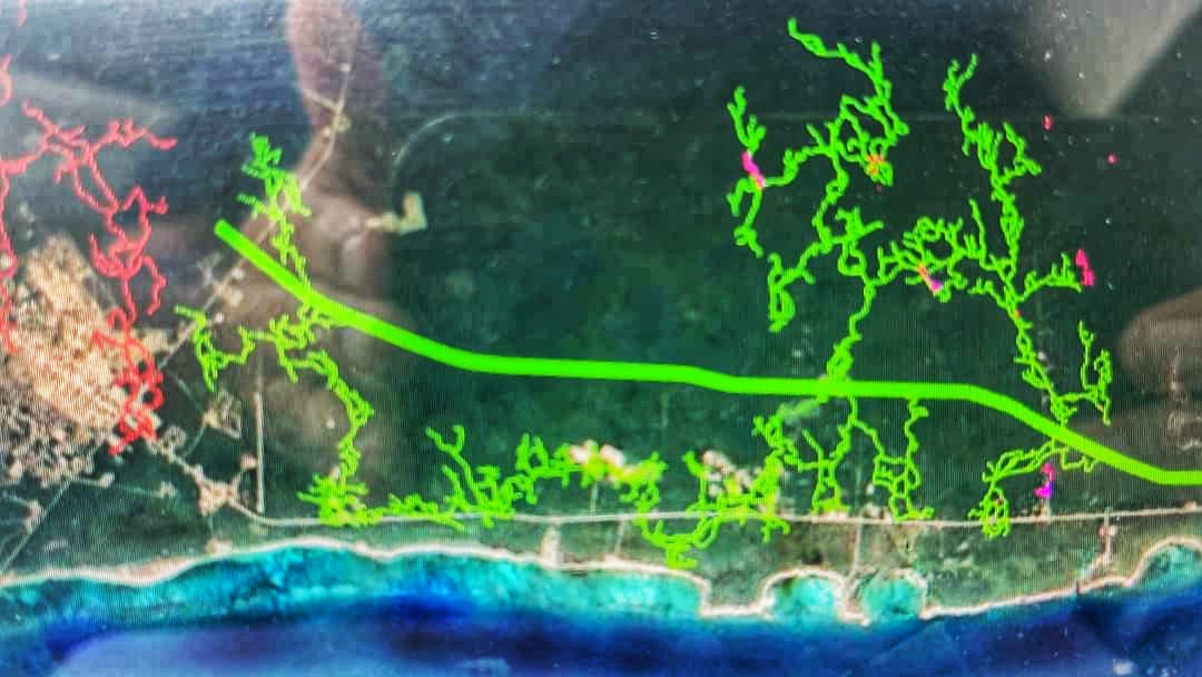 ALERTAN MAYOR IMPACTO POR NUEVO TRAZO DE TREN MAYA - Reportero Ambulante